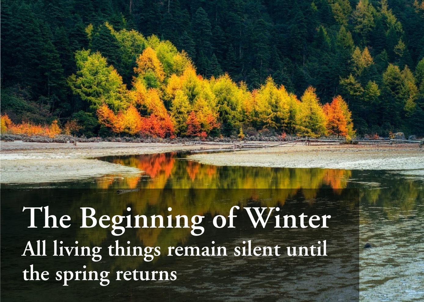 The Beginning of Winter: All living things remain silent until the ...