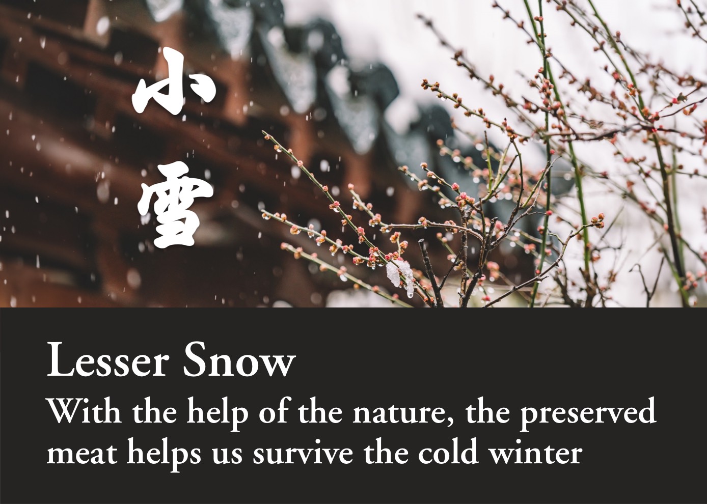 Lesser Snow: With the help of the nature, the preserved meat helps us ...