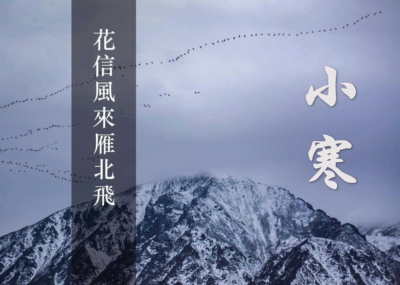 小寒：花信風來雁北飛 | CCS.City