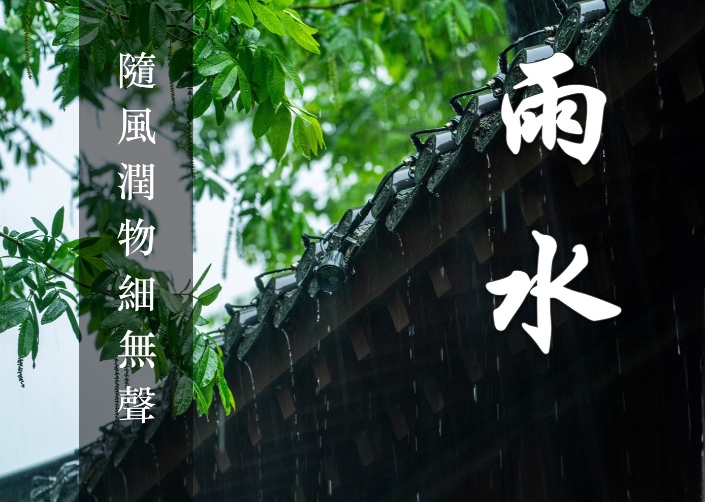 雨水：隨風潤物細無聲 | CCS.City