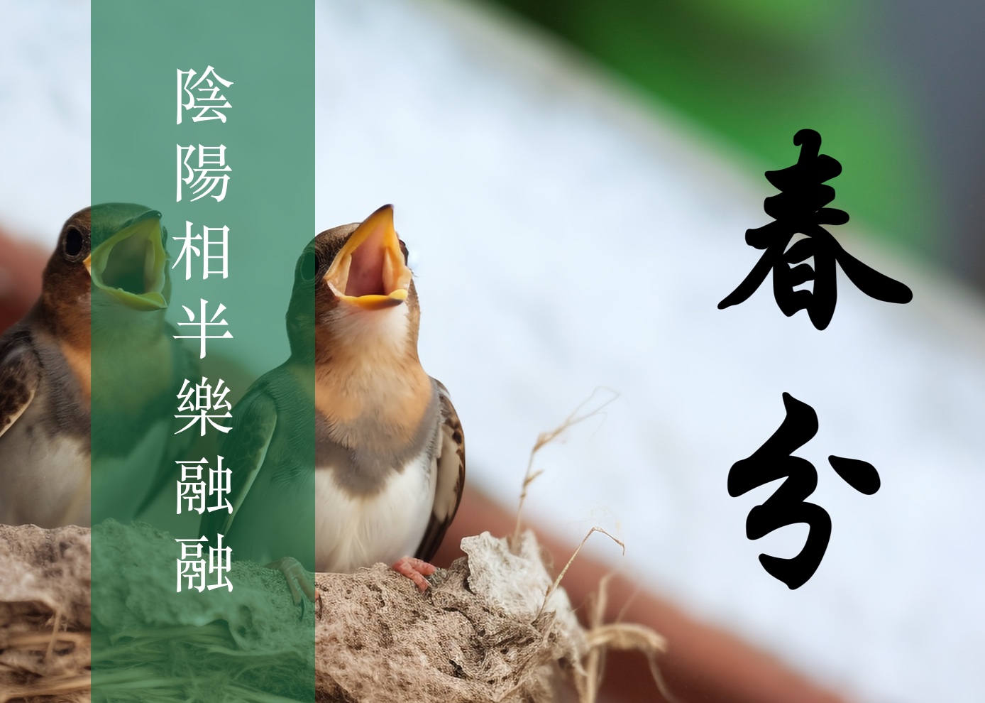 春分：陰陽相半樂融融 | CCS.City