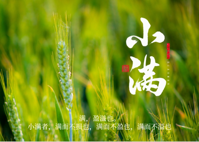 Solar term of Lesser Fullness of Grain (小滿) : When wheat on the ridge ...